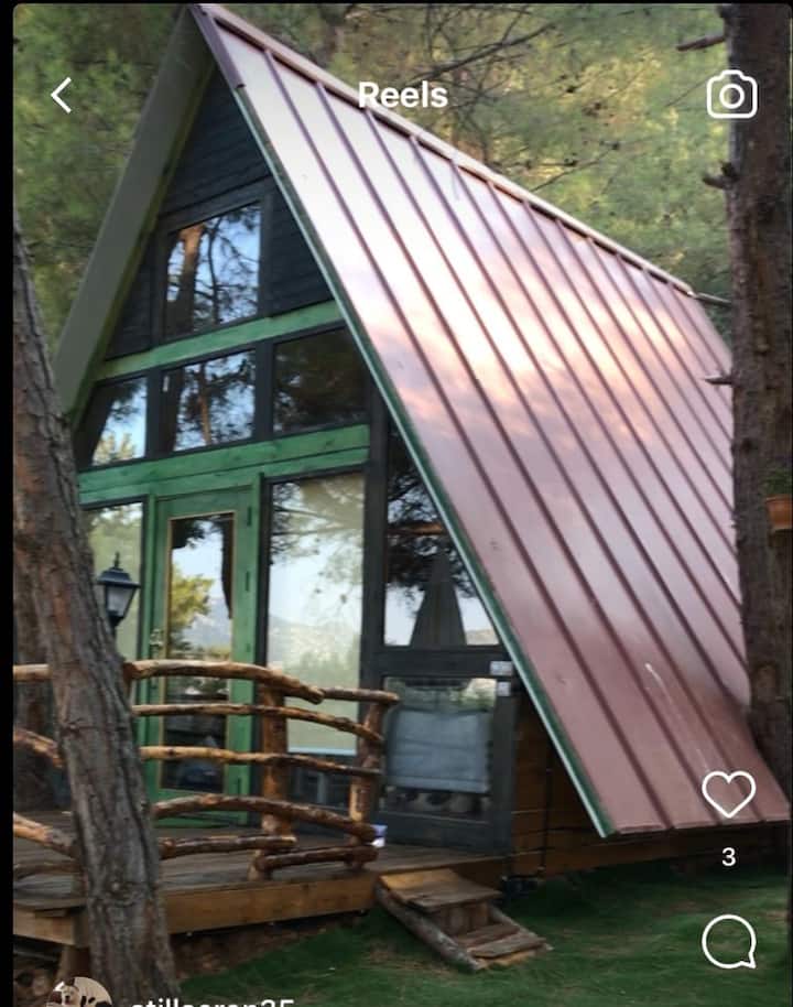 Selimiye  Orman Evleri Yeşil Ev - Selimiye