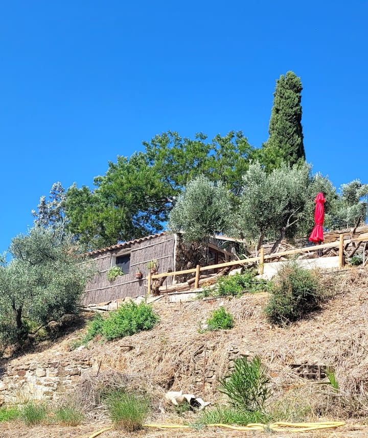 Cabane En Pierre - Vue Sur Mer - Hyères