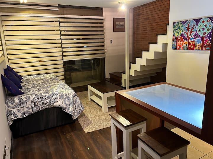 Loft En Bellas Artes/lastarria - Santiago