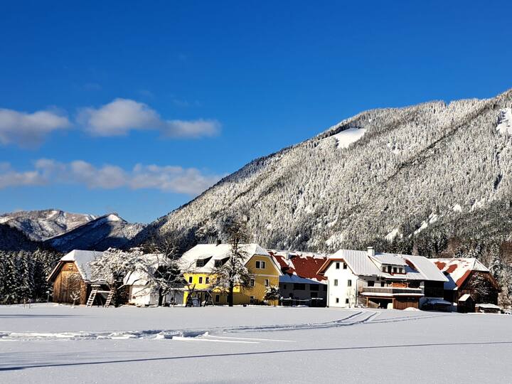 Großzügige Ferienwohnung Am Bauernhof - Autriche