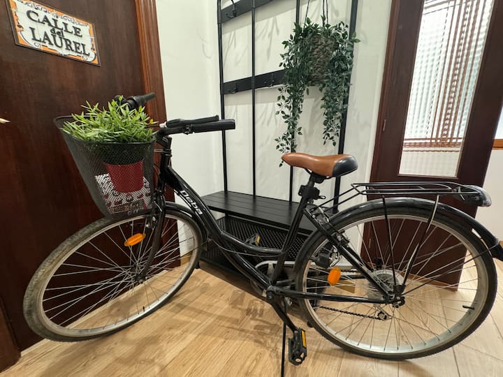 Bike Apartment Next To Cathedral And Laurel - Logroño