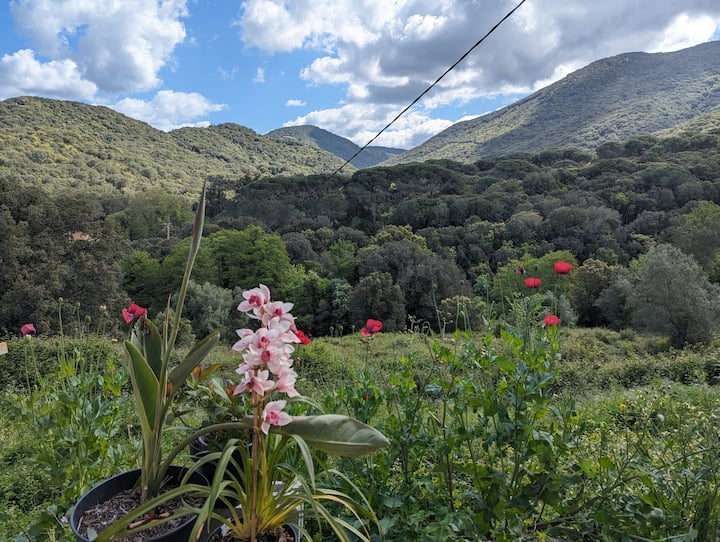 La Chambre De Ptitruc - Corsica del Sud
