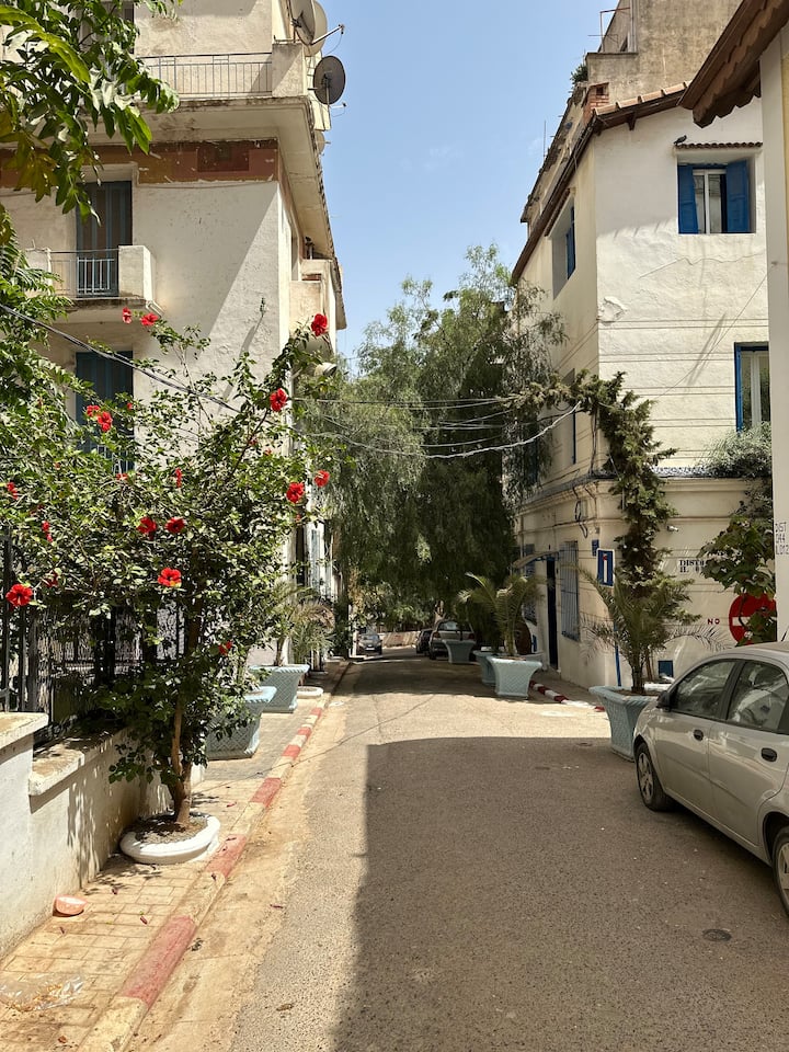 Un Magnifique Studio - Algiers
