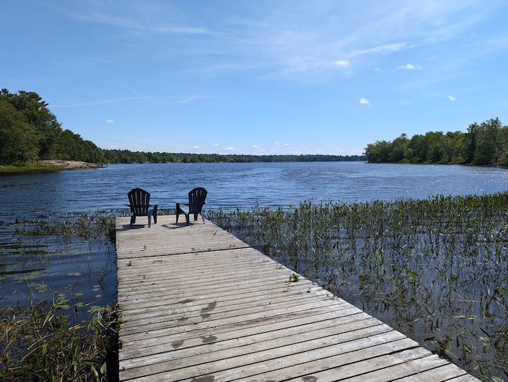 Tree Museum Retreat - Lakefront Creative Space - Gravenhurst