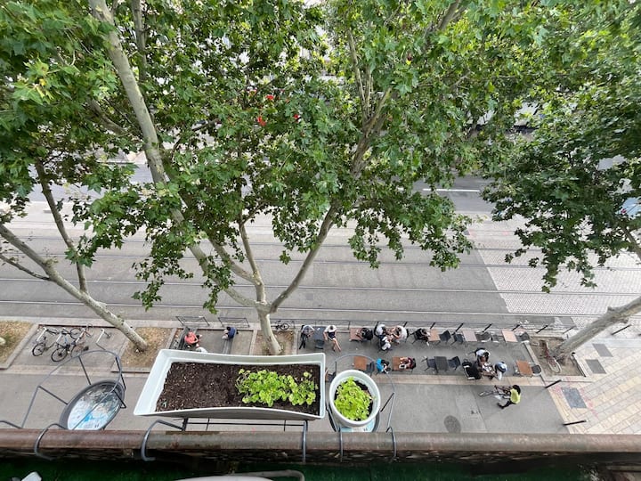 Chambre Dans Un T3 Plein Centre - Montpellier