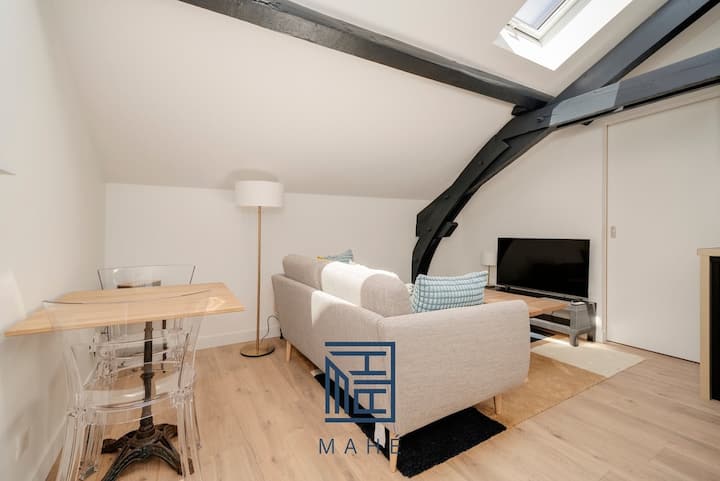 Centre-ville - Appartement Climatisé - Nancy