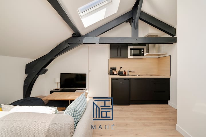 Hypercentre - Appartement Climatisé - Nancy