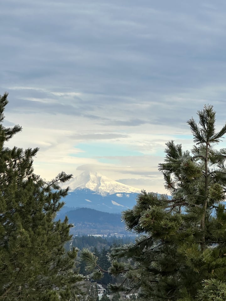 Updated Studio/view Of Mt. Hood - Wilsonville, OR