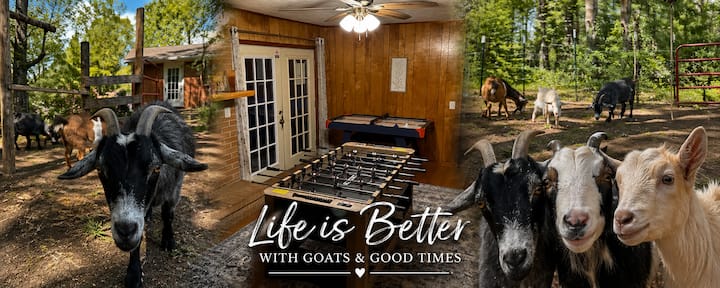 Cozy Mountain Retreat W/hot Tub And Game Room - Hendersonville, NC