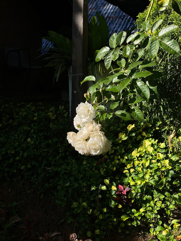 Da Family Mini Garden - Ranau