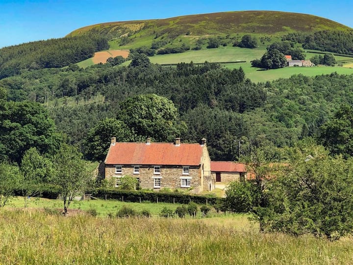 Ristbrow Farm - Helmsley