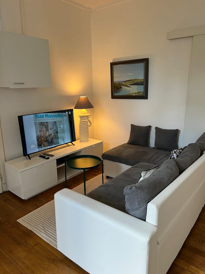 3 Pièces 46 M2 Centre Ville - Dijon