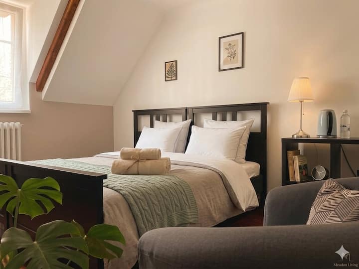 Jolie Chambre Sous Les Toits - Dreux