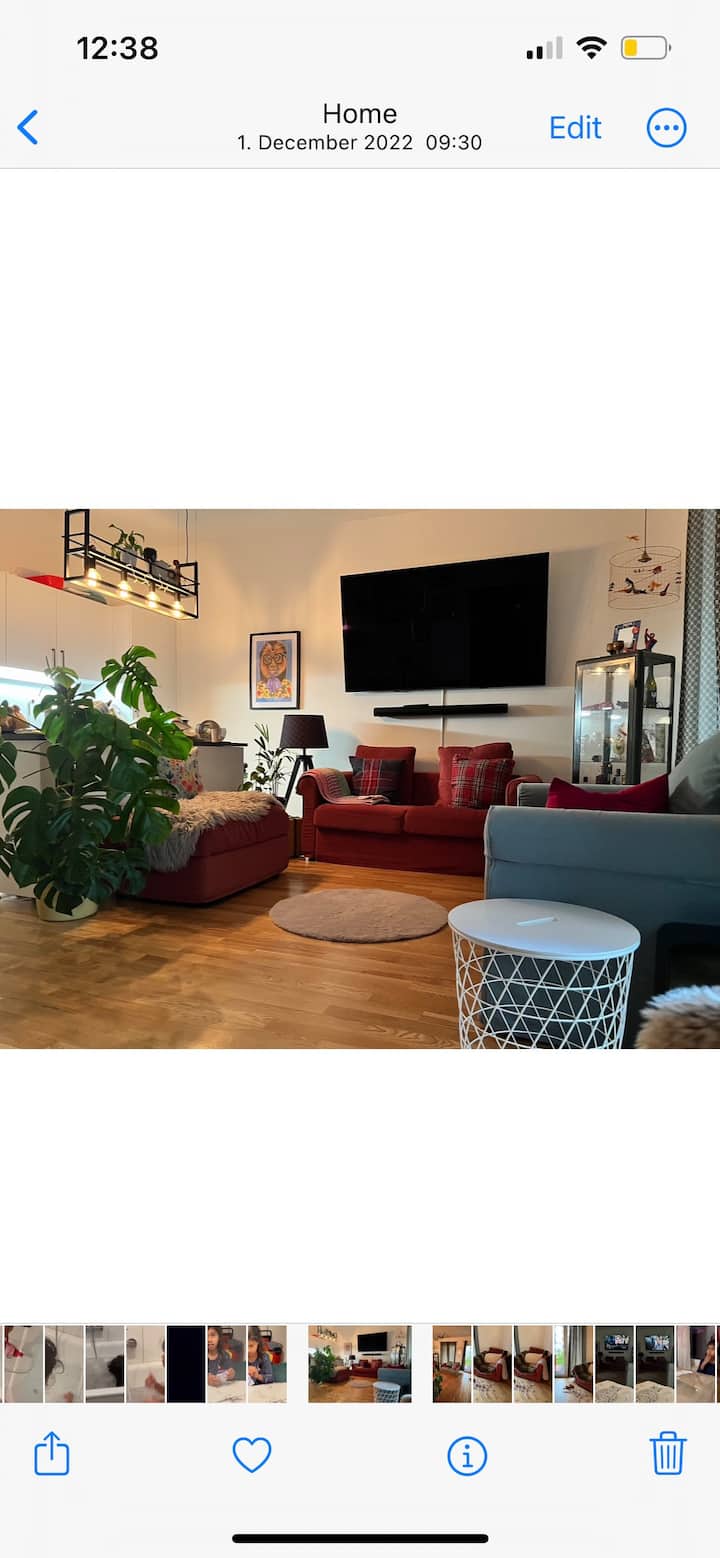 Luxury Flat With Private Garden - 美因河畔法蘭克福