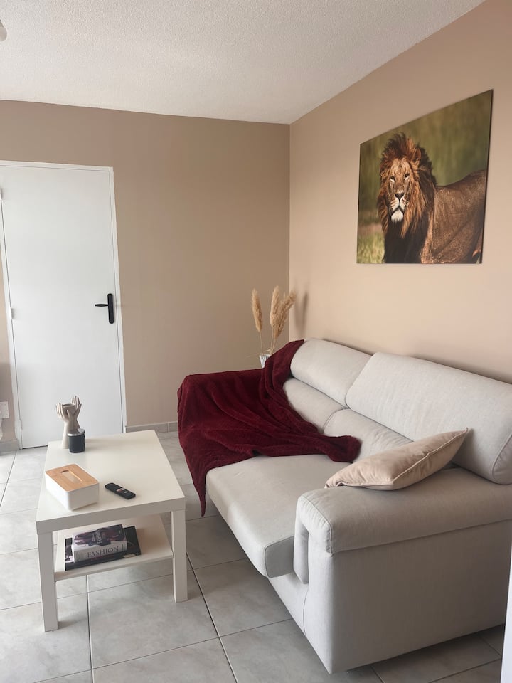 Appartement Spacieux à Tarbes - Tarbes