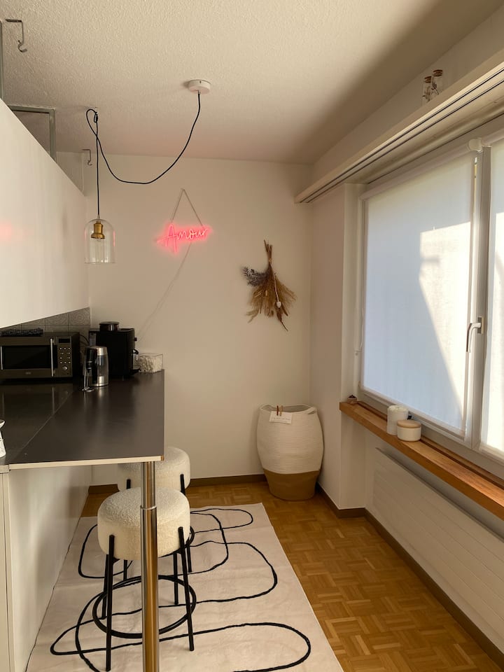 Appartement Individuel - Zurich