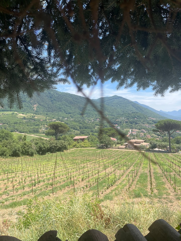 Casa Dolce Casa - Avellino
