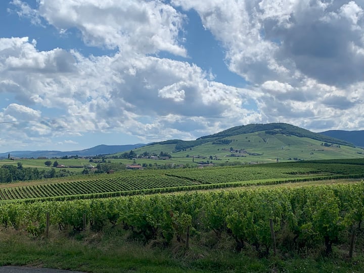 Le Charme Du Brouilly - Fleurie