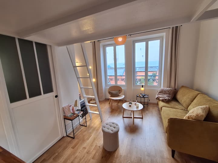 Chaleureux Studio Idéalement Situé - Bercy Village