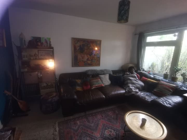 Música Da Casa Da Medicina Hut23 - Canterbury