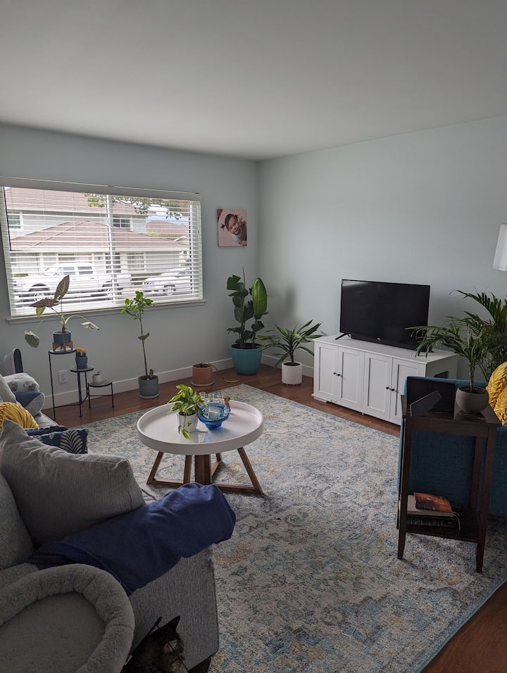 Gorgeous Condo Near The Beach! - Carpinteria, CA