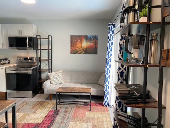 Newly Renovated 2-bedroom Oasis - Toronto