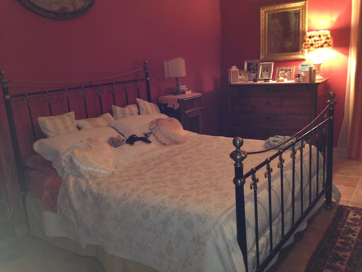 Vintage House - Tarquinia