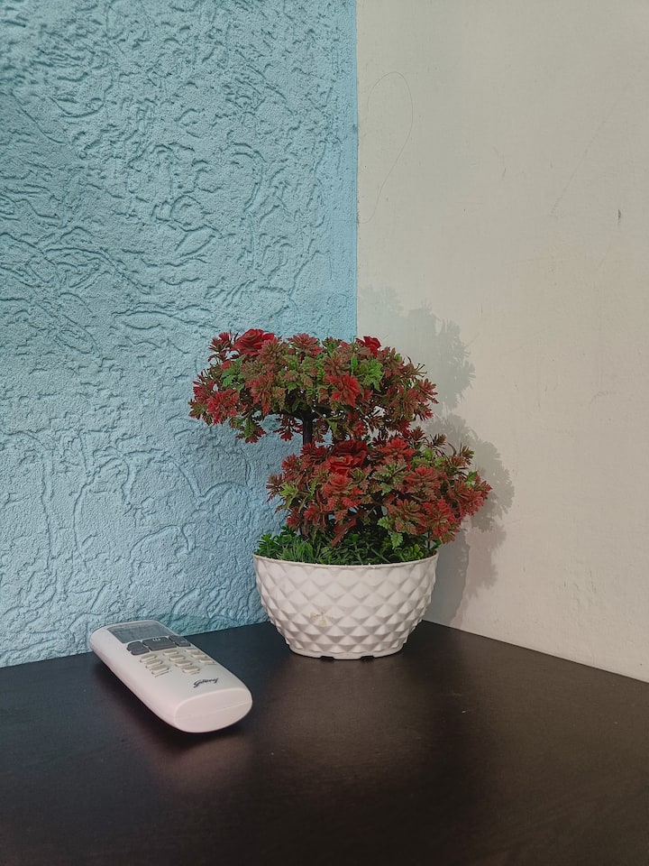 Economy Stay | Wifi |King Size Bed|cooler |Cooking - Bhopal