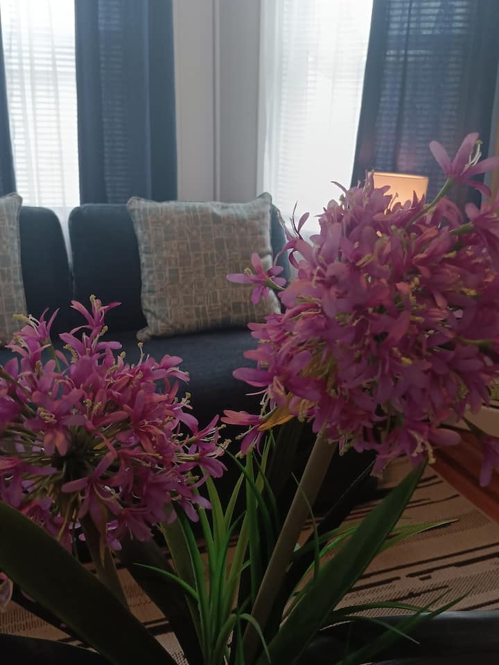 The Town-suite At Wanskuck New* 2-br Apt | Parking - Providence, RI