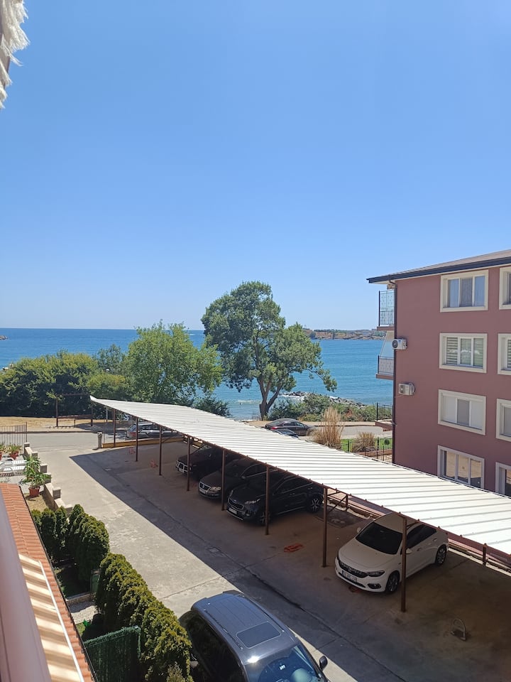 Лилия 2 - Carewo