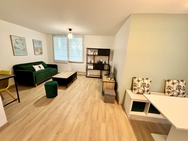 Appartement Indépendant/tout Confort Avec Terrasse - Valence