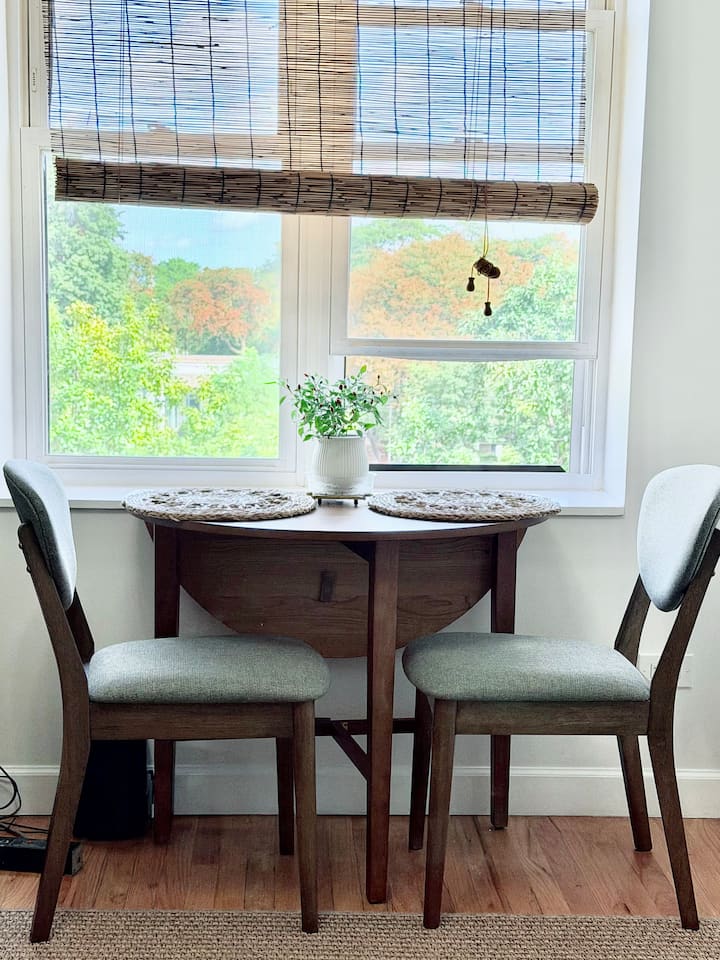Peaceful Uchicago Retreat | Workspace + Balcony - South Shore - Chicago