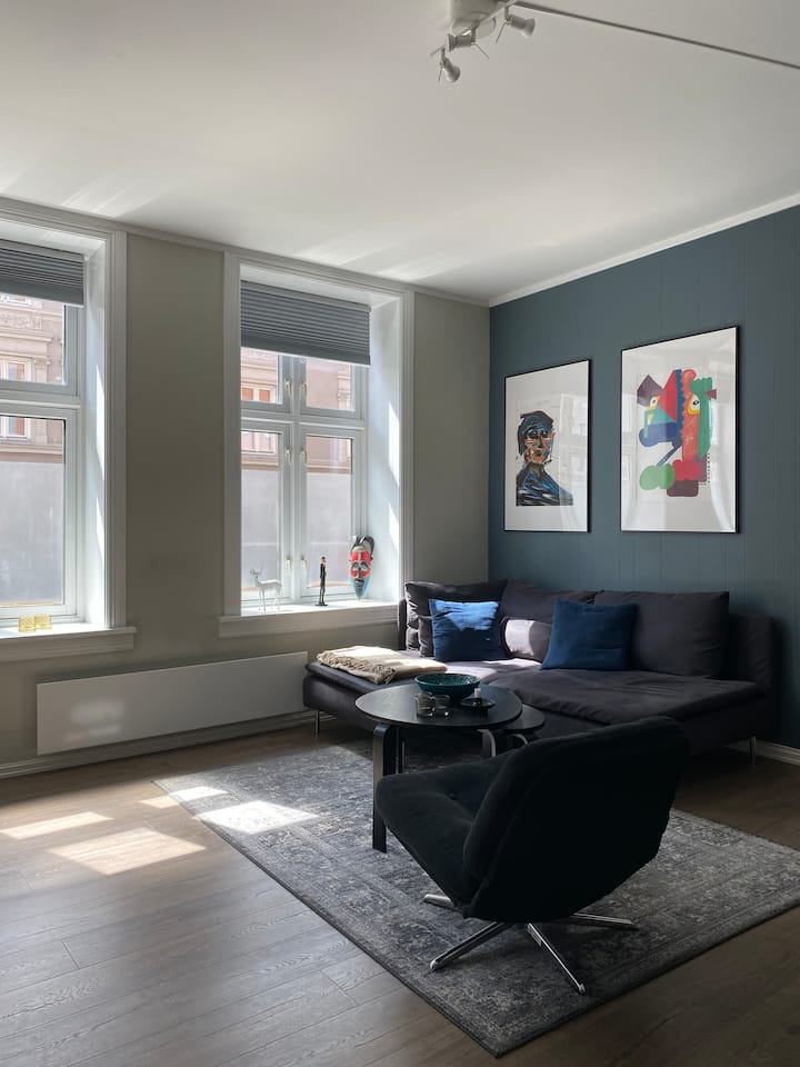 Sentral Leilighet I Grunerløkka - Oslo