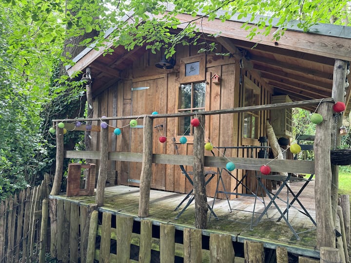 Cabane De L’écureuil Curieux - Gembloux
