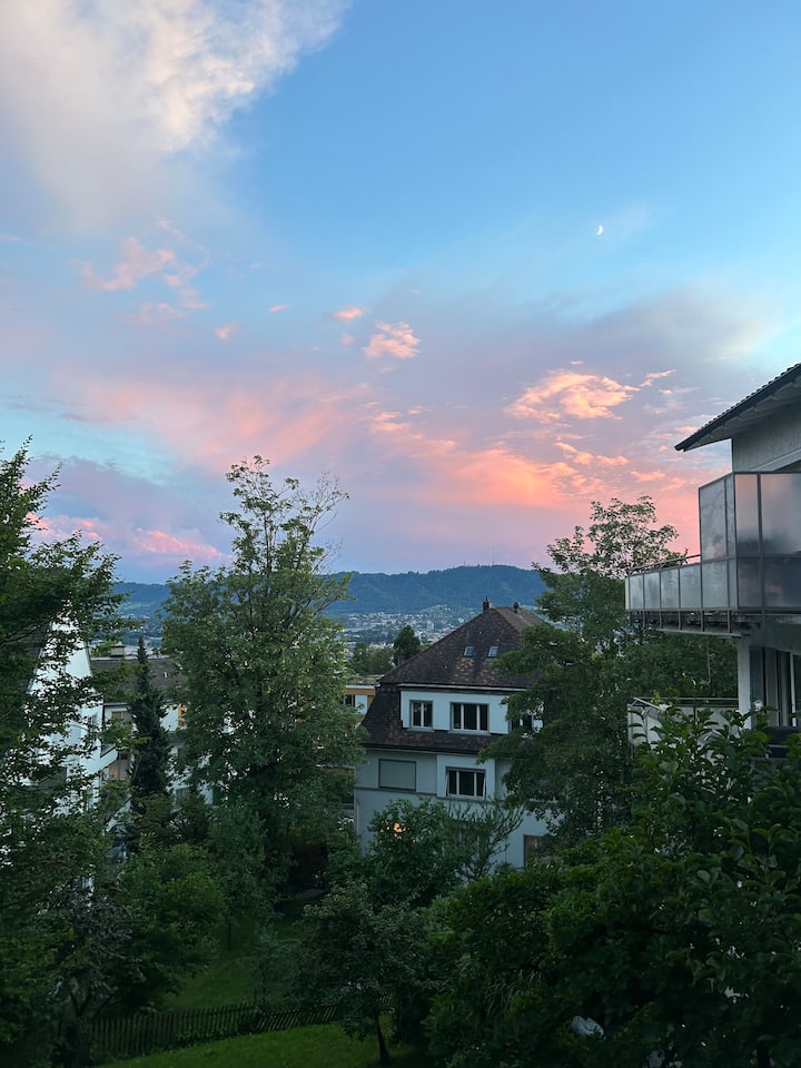 Beautiful Apartment In Fluntern - Zürich