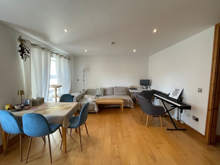 Private Apt (Long-term Negotiable) - Cork