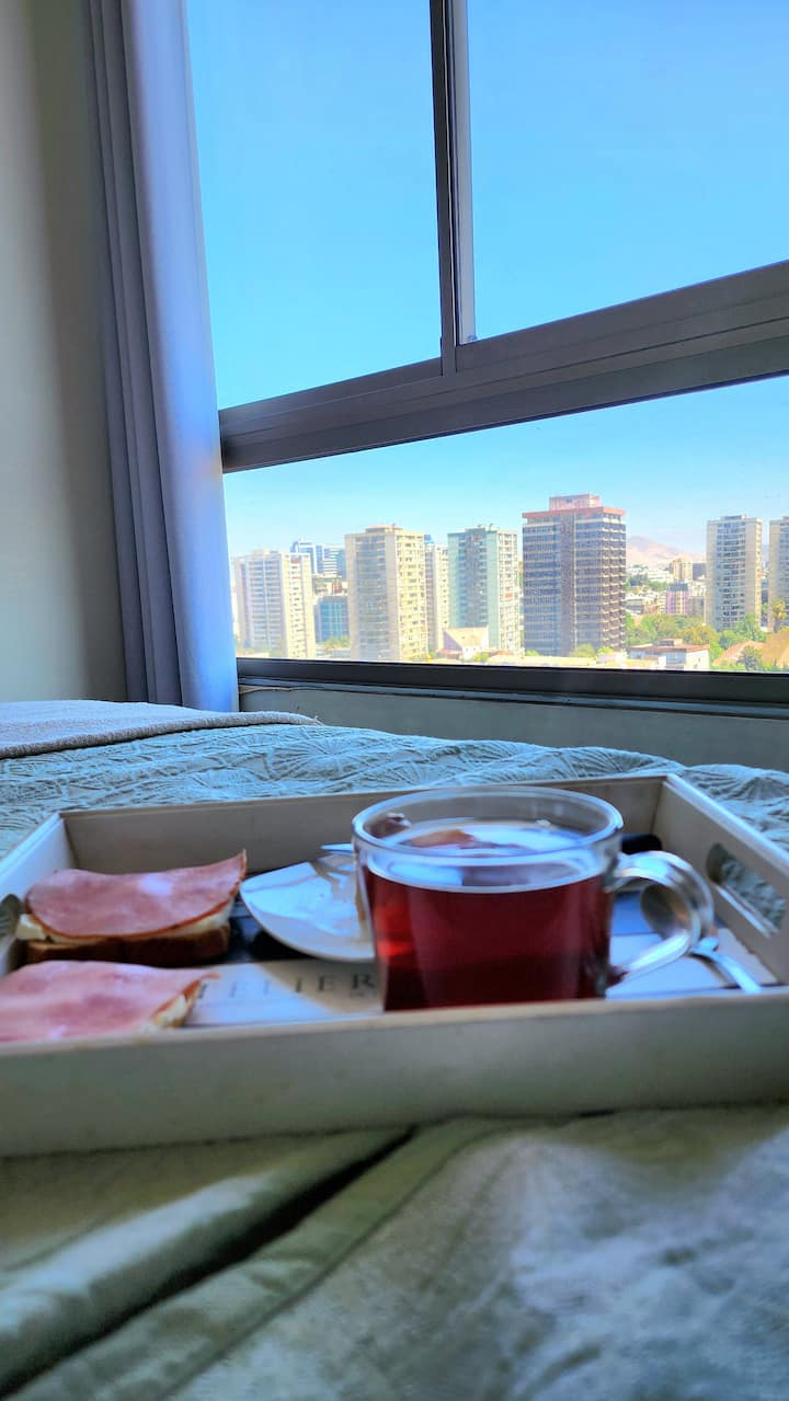 Lastarria|vista Libre| Aireacond |L. Providencia - 