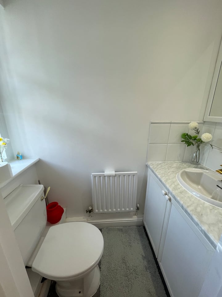 Beautiful 6 Bedroom House Oxford - Sleeps 11 - Oxford
