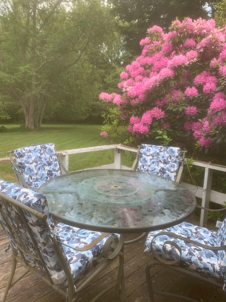 Bud’s Place - Floyd, VA