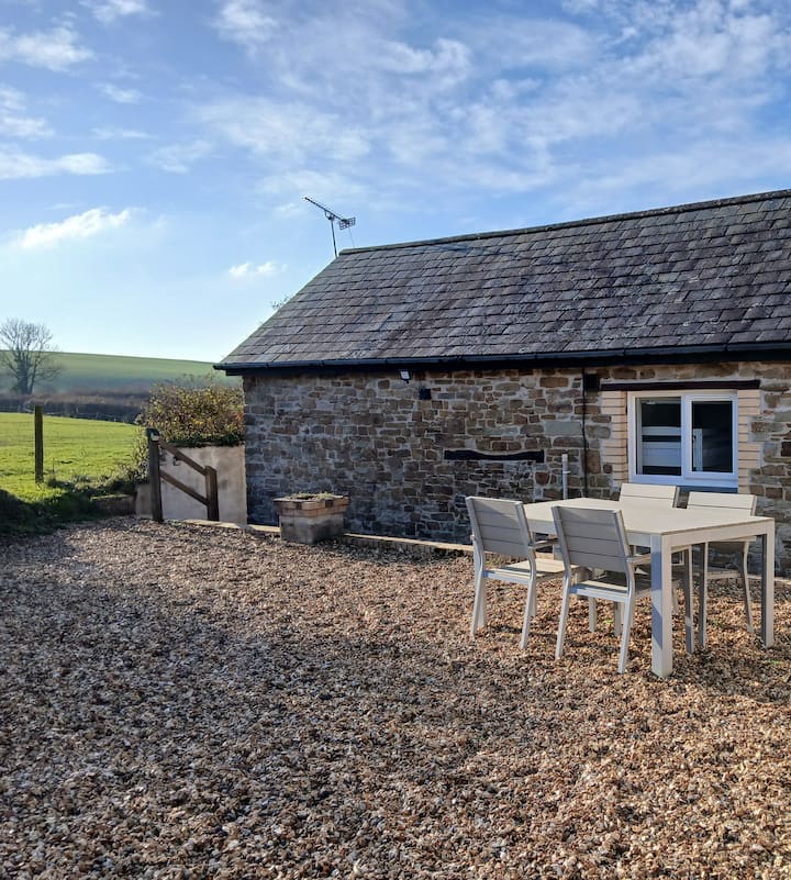 Characterful Country Cottage In Rural Devon - Devon
