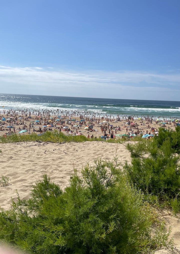 Maison à Mimizan Plage - Les Pieds Dans L'eau - Mimizan