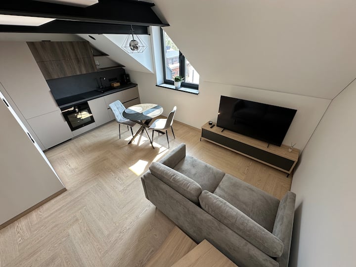Studio 11 - Kaunas Old Town. Free Parking. - Kaunas