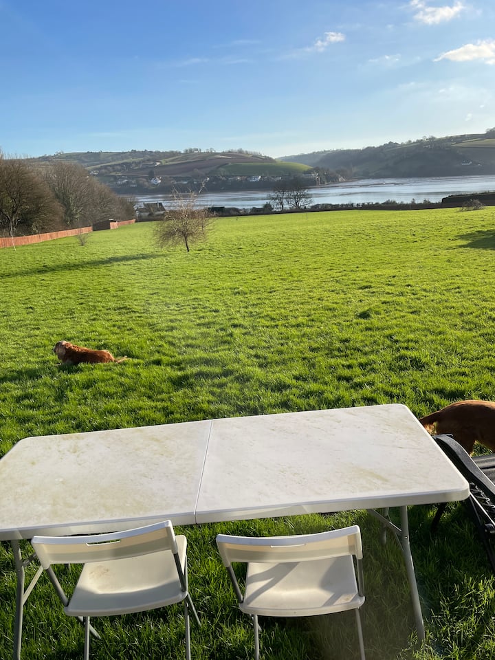 This Is My Jubilee. - Teignmouth