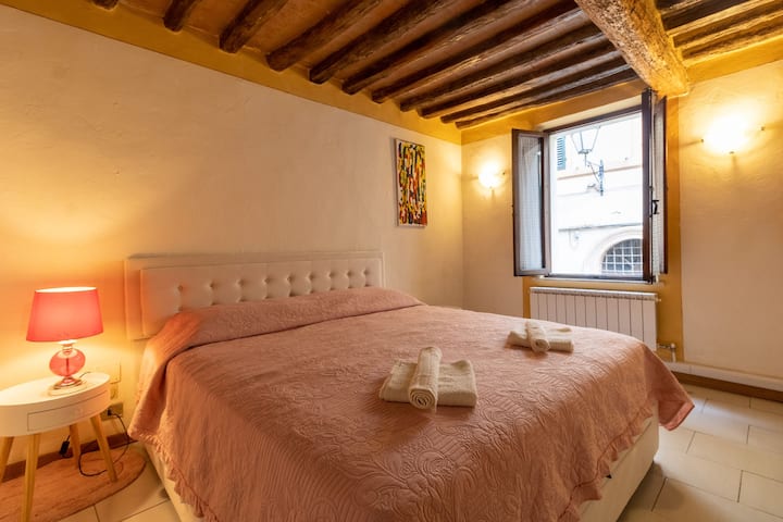 Appartamento In Centro A Siena - Siena