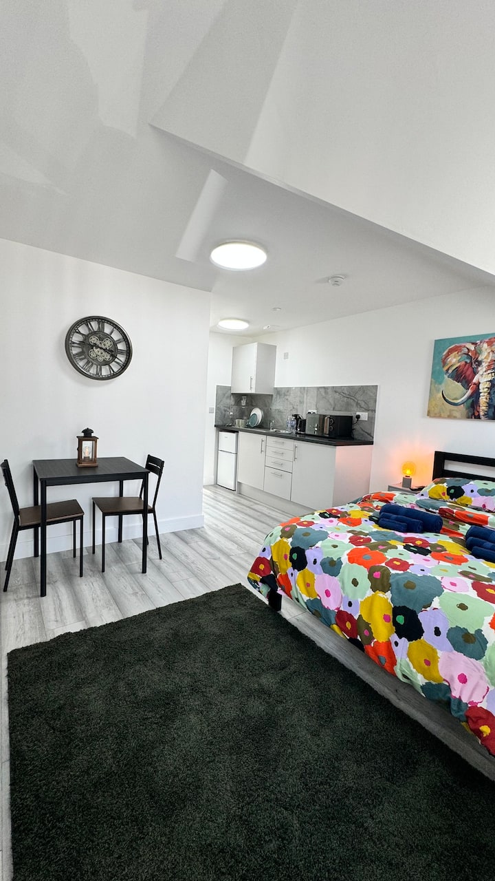 Big Room In Cardiff  Near City Centre  Nice Place - Cardiff