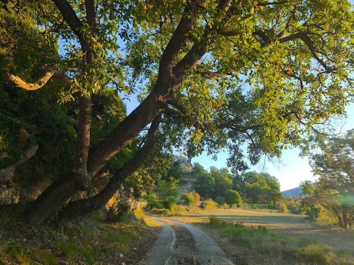 Le Colombier N°3 - Roquefort-les-Pins