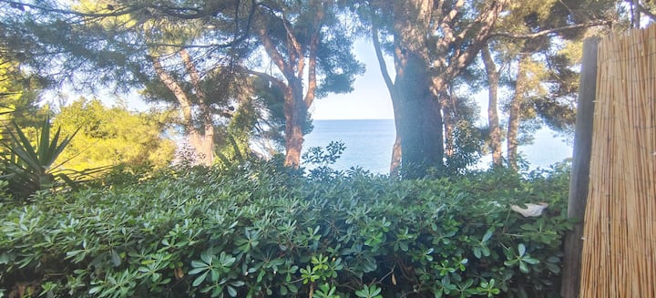 Light House - Cupra Marittima