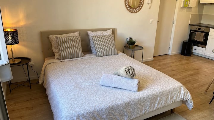 Charmant Studio Centre Apt Au Calme - Roussillon