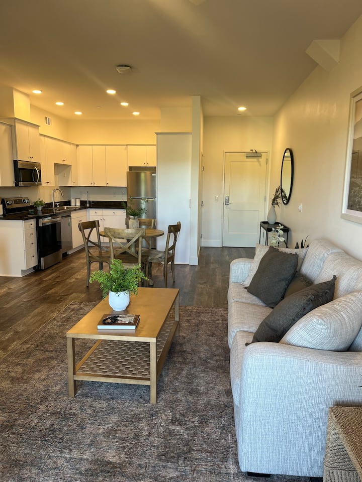 Downtown One Bedroom Condo - 阿塔斯卡德羅