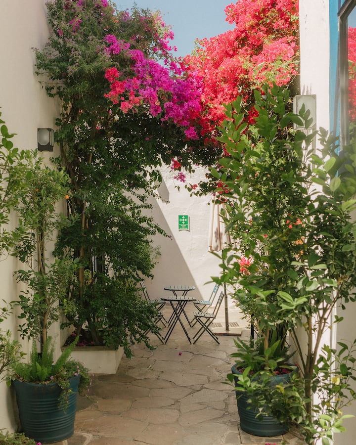 Habitación Boutique En El Corazón De San Miguel A. - San Miguel de Allende